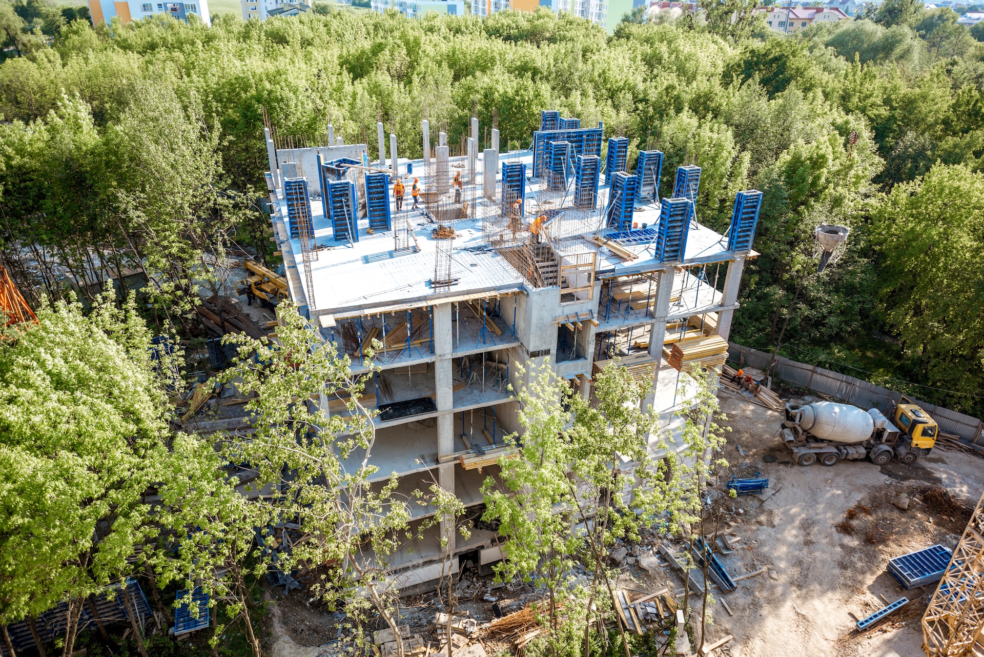 Protecting Trees during Construction Projects